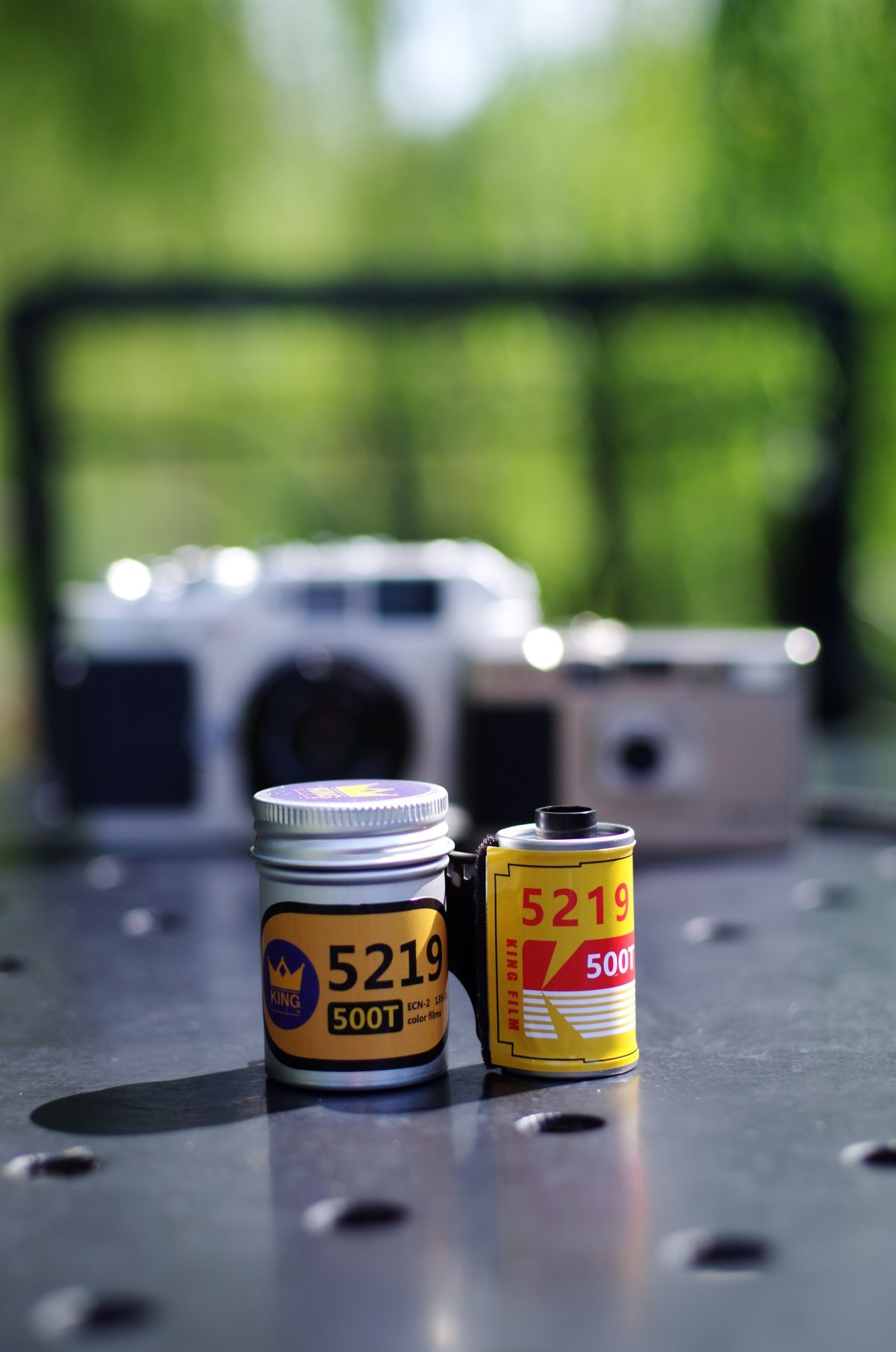 KING FILM 5219 500T 35mm 135/36 - Analog film - Vefa Foto